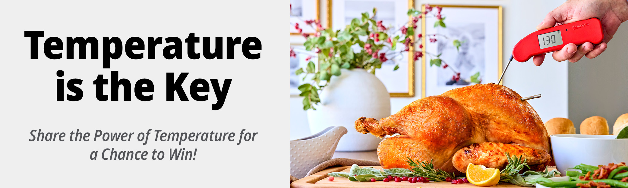 Share the Art of Temperature