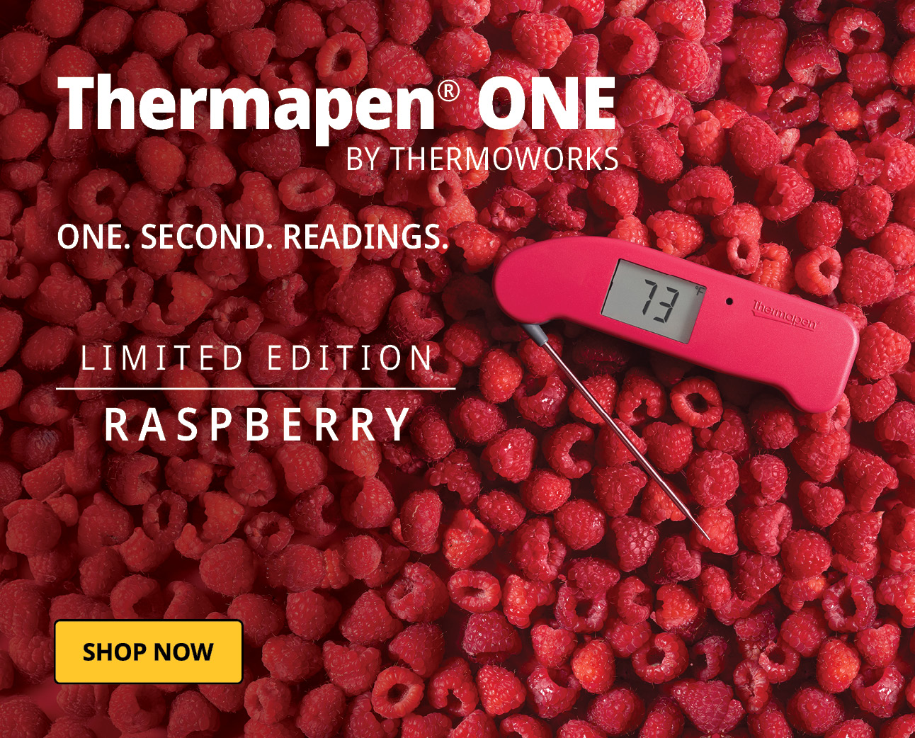 ThermoWorks | Professional Thermometers from the Temperature Experts